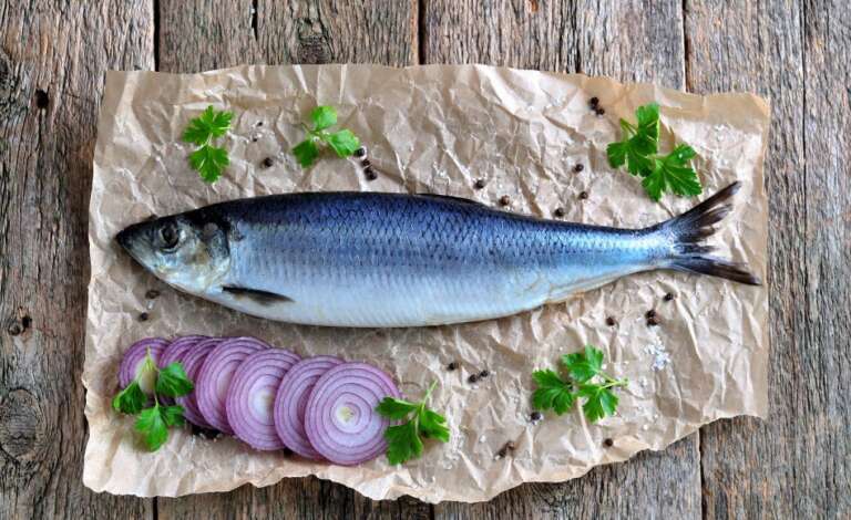 Cooking herring - Cooking time